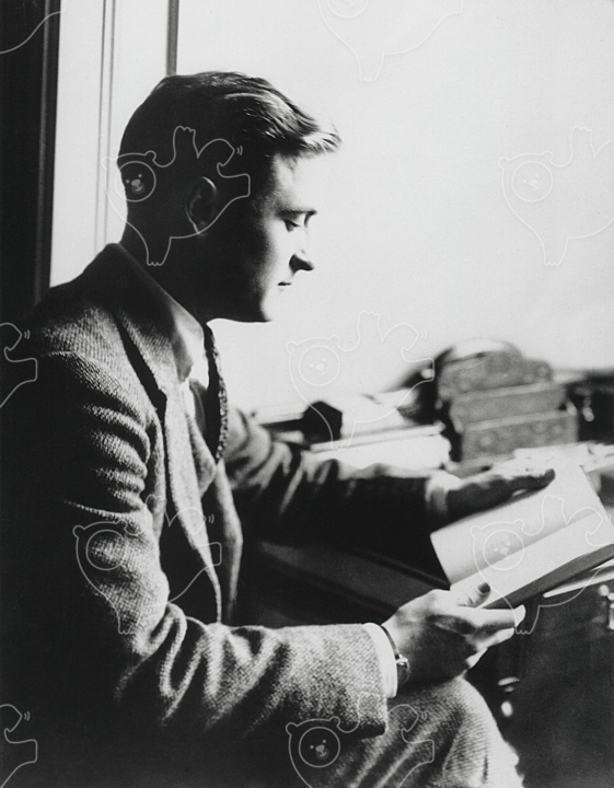 F. Scott Fitzgerald flourished in the 19 : Everett - 네이버 OGQ마켓