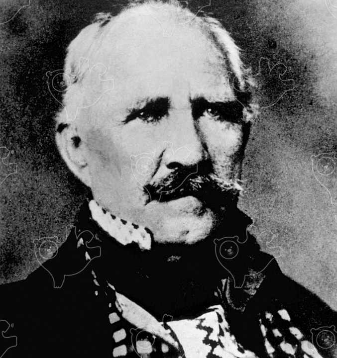 General Sam Houston (1793-1863) : Everett - 네이버 OGQ마켓