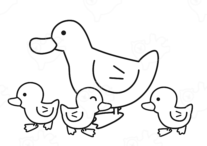 사실적인 아기 오리 색칠 페이지 수놀이 예스24