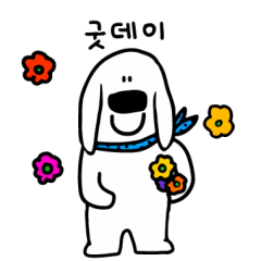 긍정회로 모이무이(Moi Mooi) : MoiMooi - 네이버 OGQ마켓