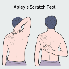 Apley's scratch test : callilife - 네이버 OGQ마켓