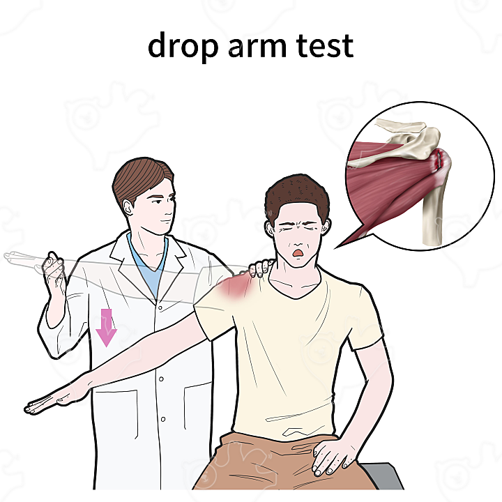 drop arm test : callilife - 네이버 OGQ마켓