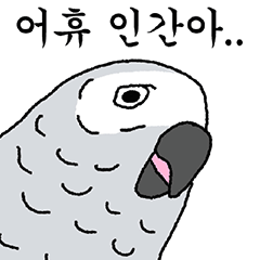 잔소리쟁이 앵무새들 : moonii - 네이버 OGQ마켓