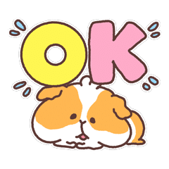 오늘도 기니피그는 OK : 코냥conyang - 네이버 OGQ마켓