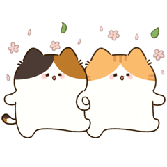 삼색이와 체다의 소소한 하루 : 뮤엘_Mewel - 네이버 OGQ마켓