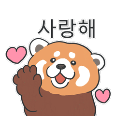 귀여운 레서판다 보고 가세요 : 코냥conyang - 네이버 OGQ마켓