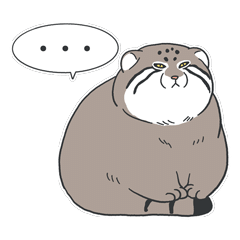 마눌 고양이 입니다 : 코냥conyang - 네이버 OGQ마켓