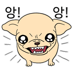 치와와는 앙앙! : 코냥conyang - 네이버 OGQ마켓