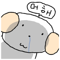 구냥이