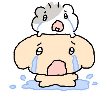 가성비 본식 DVD | 하이라이트필름 계약후기 (추천인할인) 더파티움 안양 : 네이버 블로그